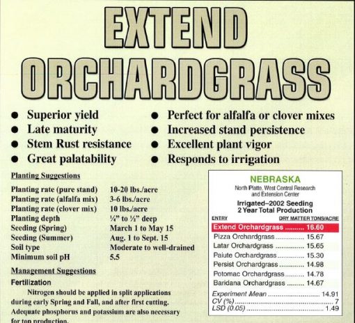 Orchardgrass Arrow Seed